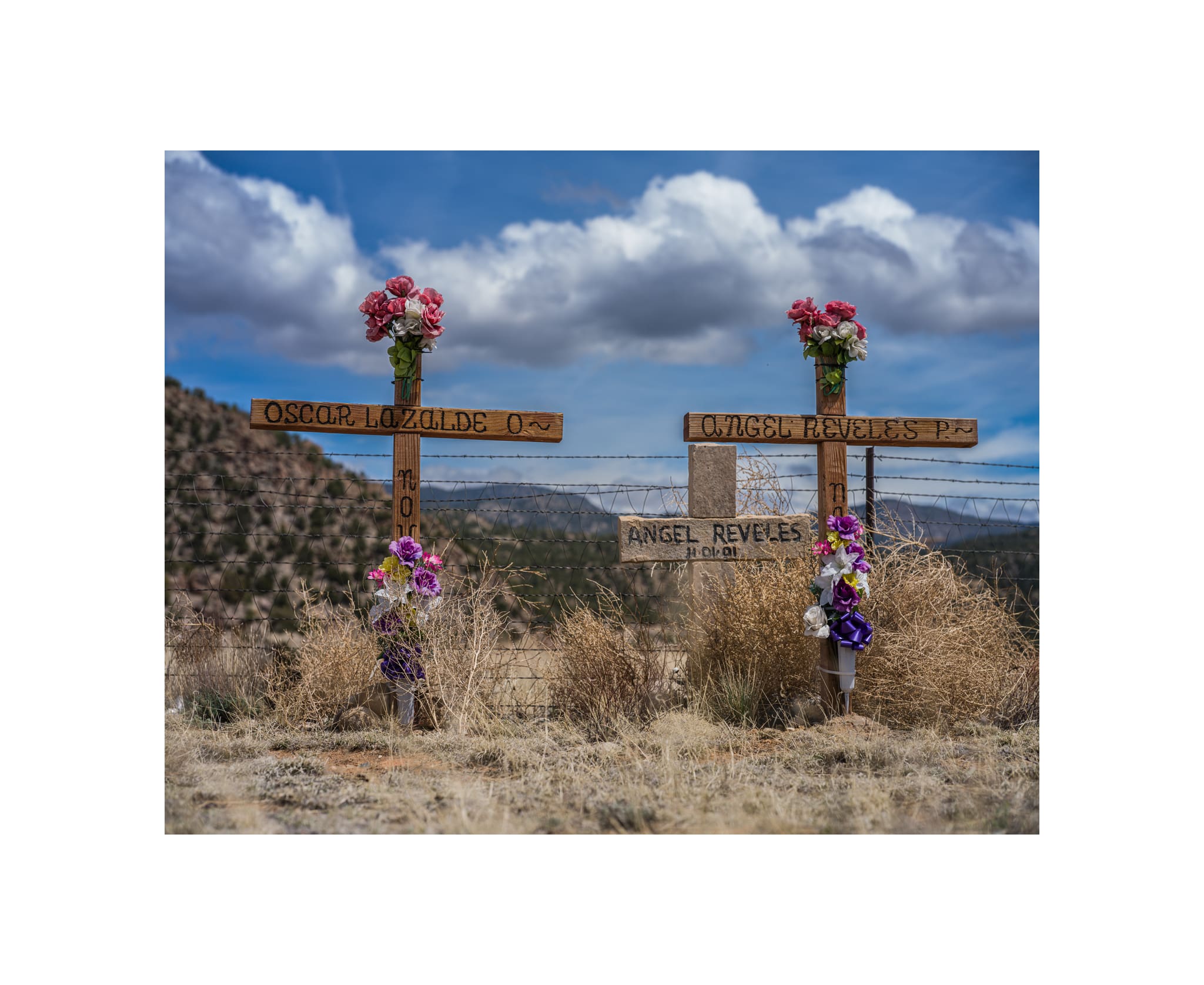 Reveles – etp.hotography